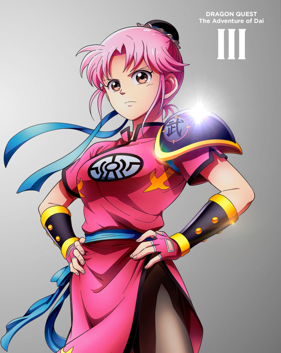 Dragon Quest Dai No Daibouken Maam Armor Chinadress Disc Cover
